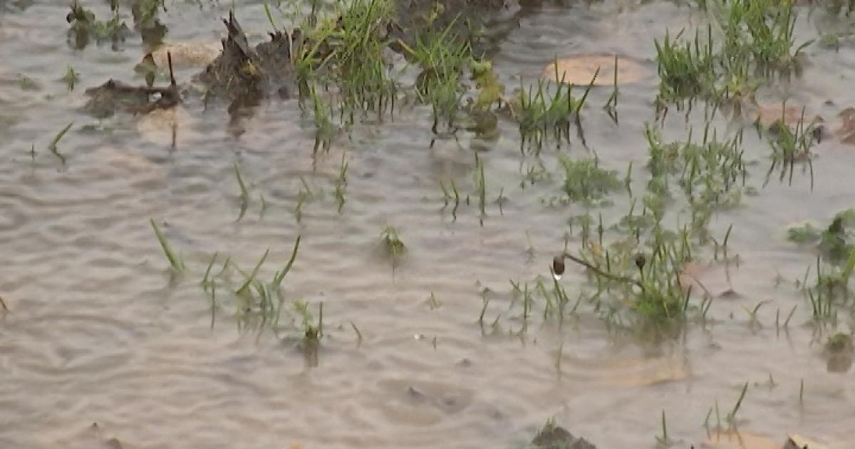 Manage : le projet du Gibet suscite bien des questions | Antenne Centre