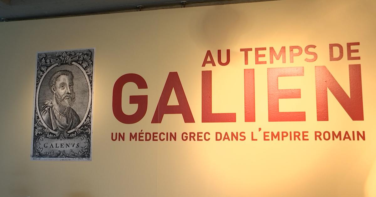 Galien, un médecin grec dans l'empire romain : le musée de Mariemont s ...