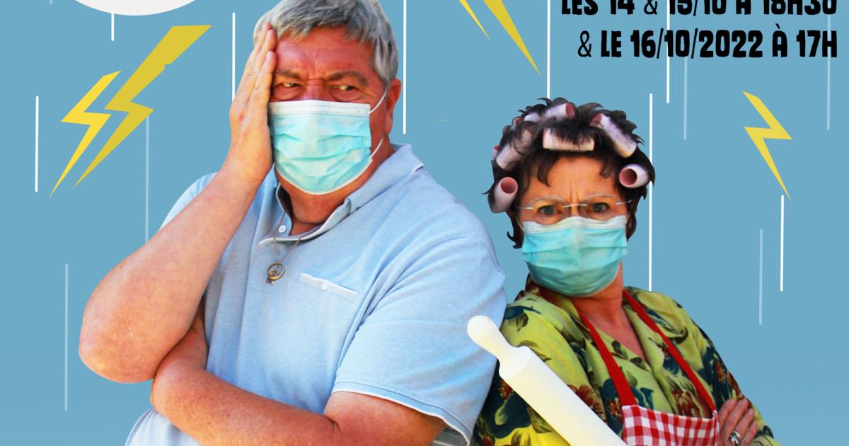 Binche : un pangolin sauce wallonne | Antenne Centre