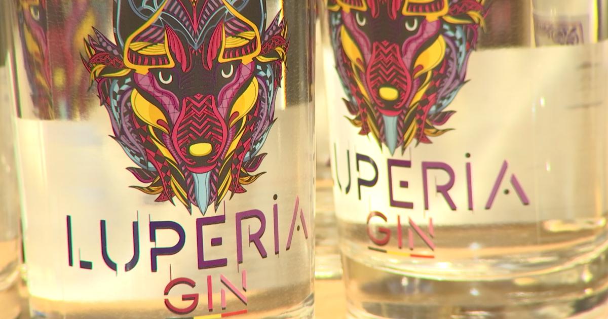 Luperia, un gin 100% louviérois | Antenne Centre