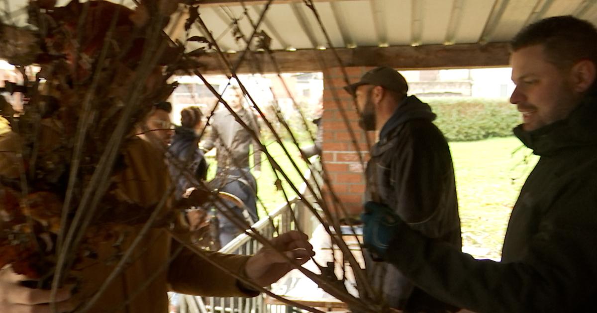Ecaussinnes : journée de l'arbre et de la biodiversité | Antenne Centre